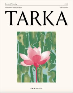 Transcendental Experiences During Meditation Practice - Embodied Philosophy