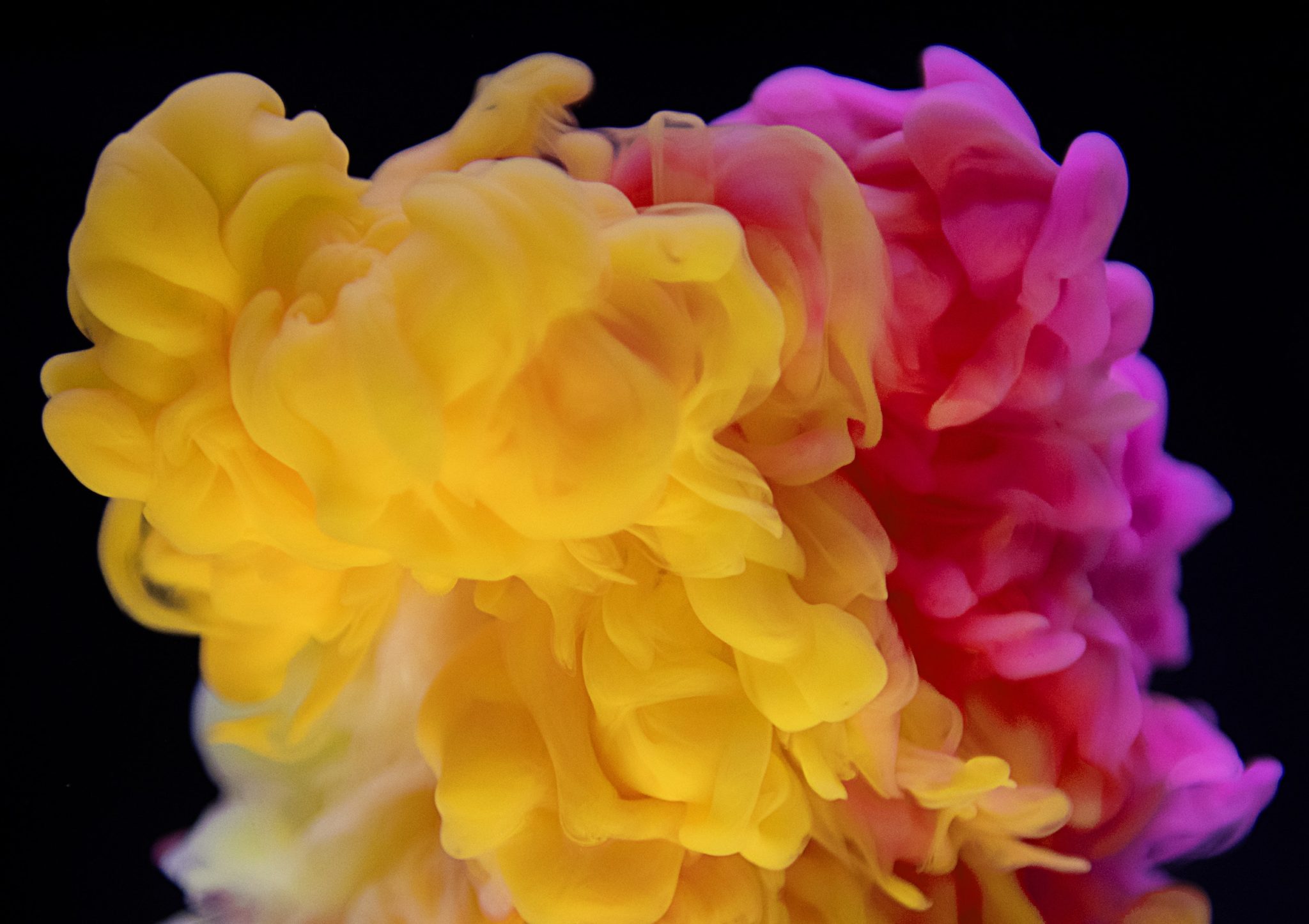 Dana Slamp on the Nervous System, our Cartesian Worldview, and Yoga ...