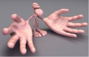 The Homunculus Yoga Project - Embodied Philosophy