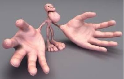 The Homunculus Yoga Project - Embodied Philosophy