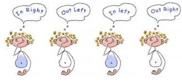 The Homunculus Yoga Project - Embodied Philosophy