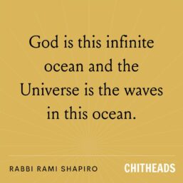 Rabbi Rami Shapiro on Living the Golden Rule (#153) - Embodied Philosophy