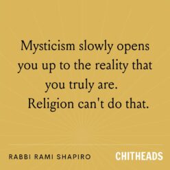 Rabbi Rami Shapiro on Living the Golden Rule (#153) - Embodied Philosophy