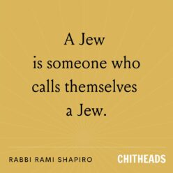 Rabbi Rami Shapiro on Living the Golden Rule (#153) - Embodied Philosophy