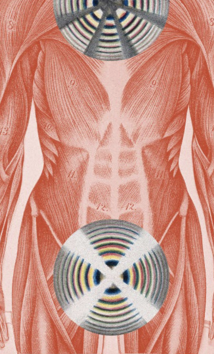 Quest For a Three-Hour Orgasm: An Interweaving of Somatics and ...