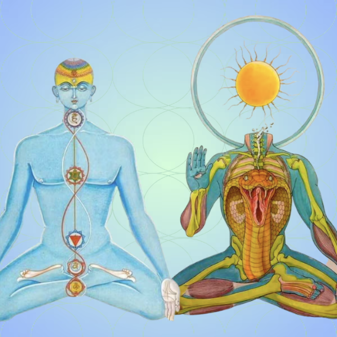 Wisdom School Courses - Embodied Philosophy